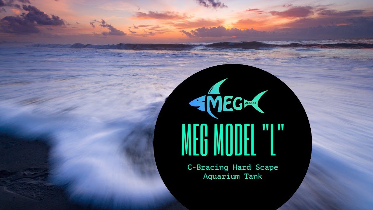 MEG L Model Viz - YouTube