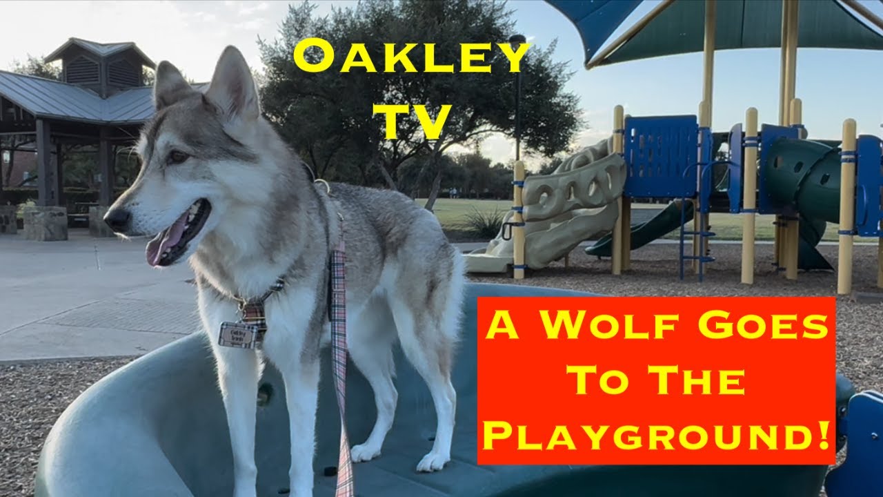 Oakley "The Wolf" Enjoys The Playground - Oakley TV - YouTube