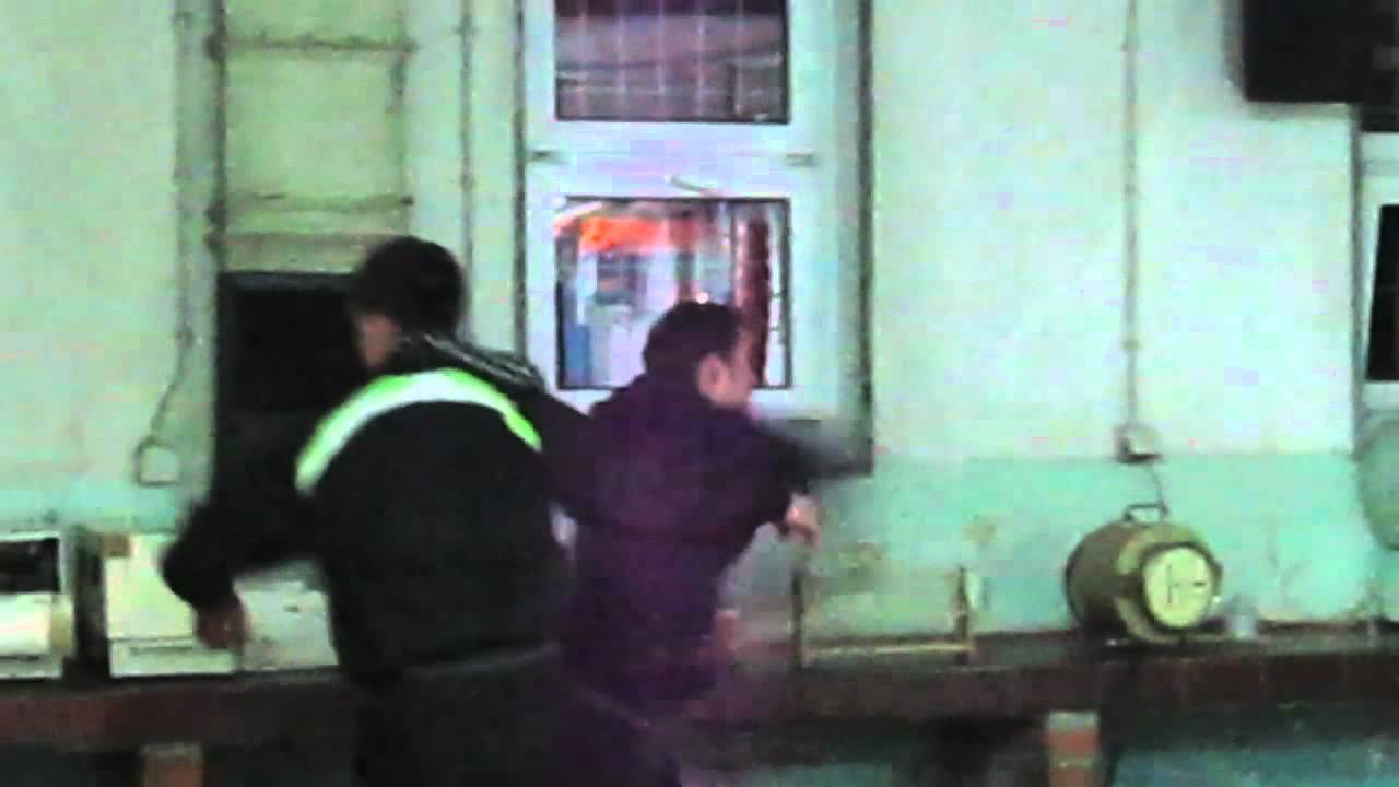 Tiger Awards Introduction Clip - Maja Milos - YouTube