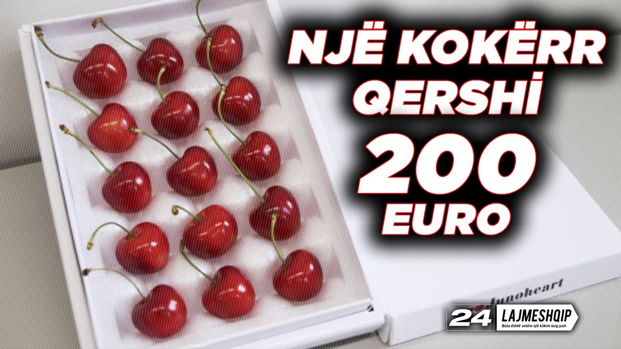 NJË KOKËRR NGA KJO QERSHI KUSHTON MBI 200 EURO, ARSYEJA E ÇUDITSHME ...