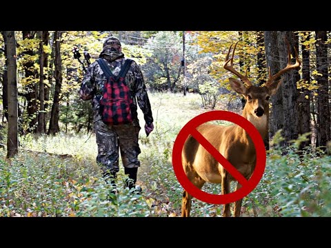 UPSTATE NY Bow Hunting For WHITETAIL DEER 2020!! EP.2 (Tough Hunting ...