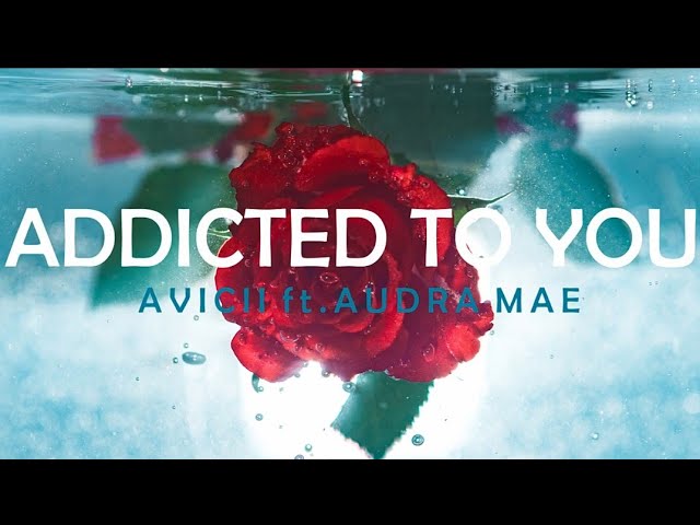 Addicted To You Avicii Lyrics