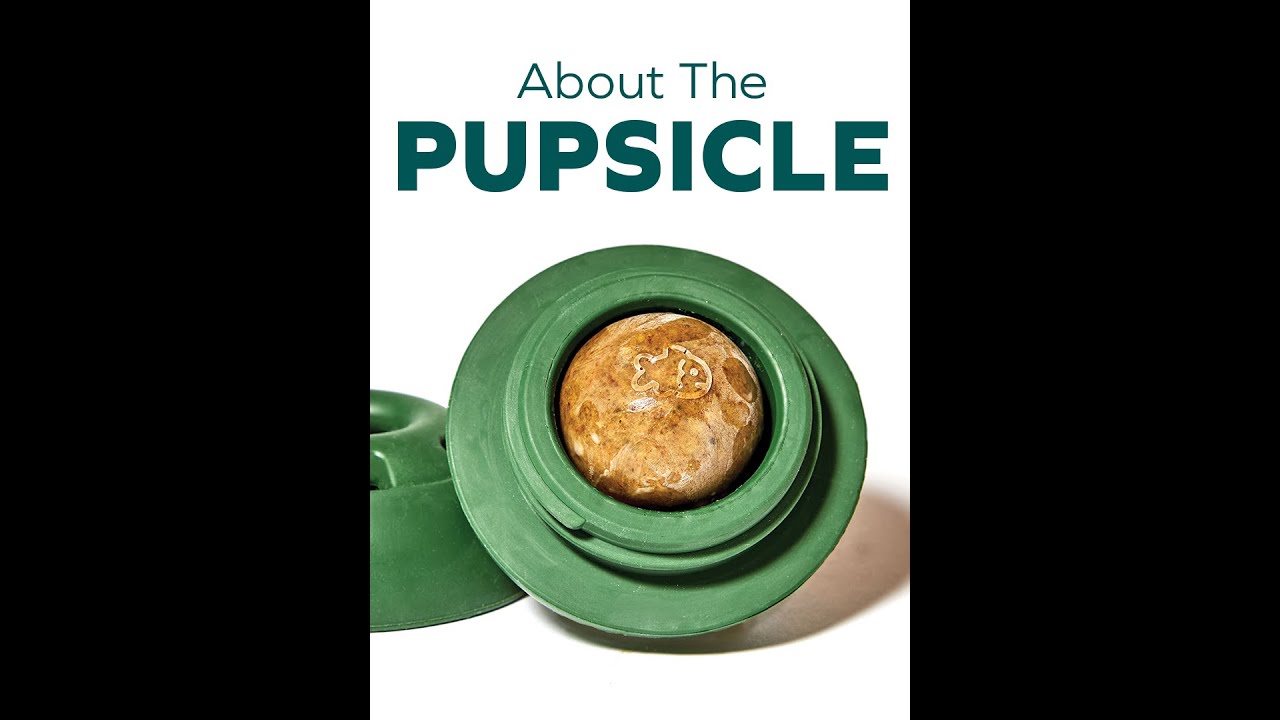 The Pupsicle! By Woof 🐶 🍭 🎉 - YouTube