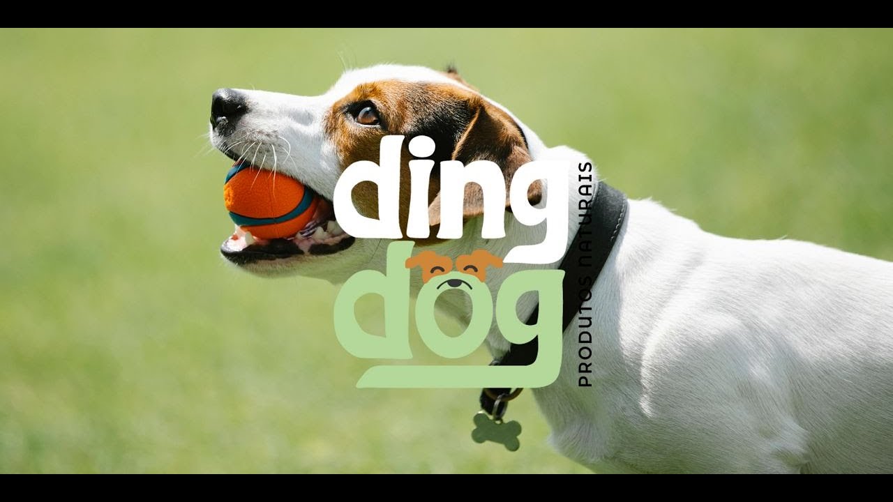 Ding Dog Produtos Naturais Para Pets - YouTube