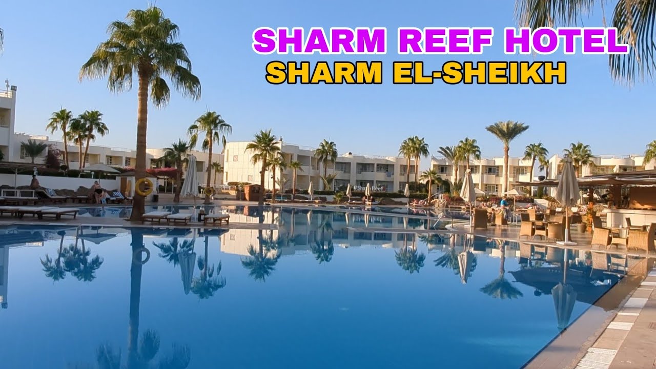 Sharm Reef Hotel Room tour ( Sharm El Sheikh, Egypt) - YouTube