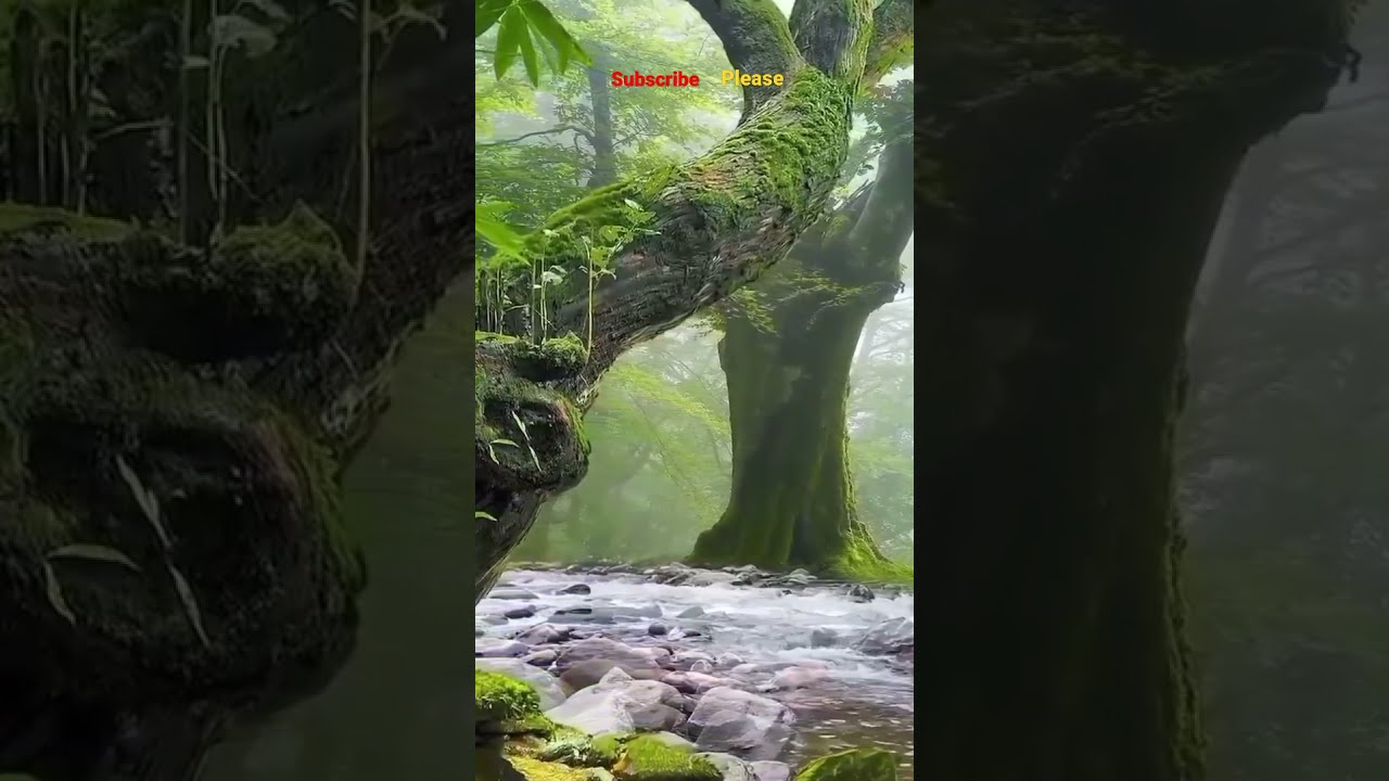 Beautiful Nature #short#video#naturelove#vibesoftheday#respectnature ...