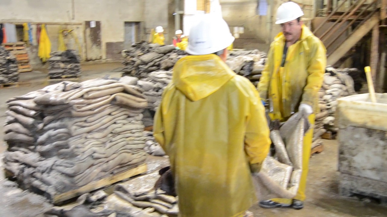 Hide Fleshing and Grading - YouTube