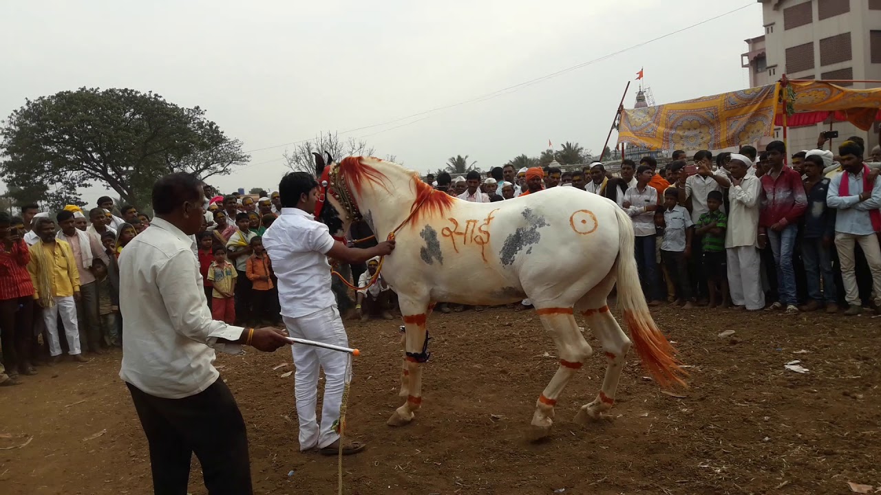 Balumama aadamapur(5) - YouTube