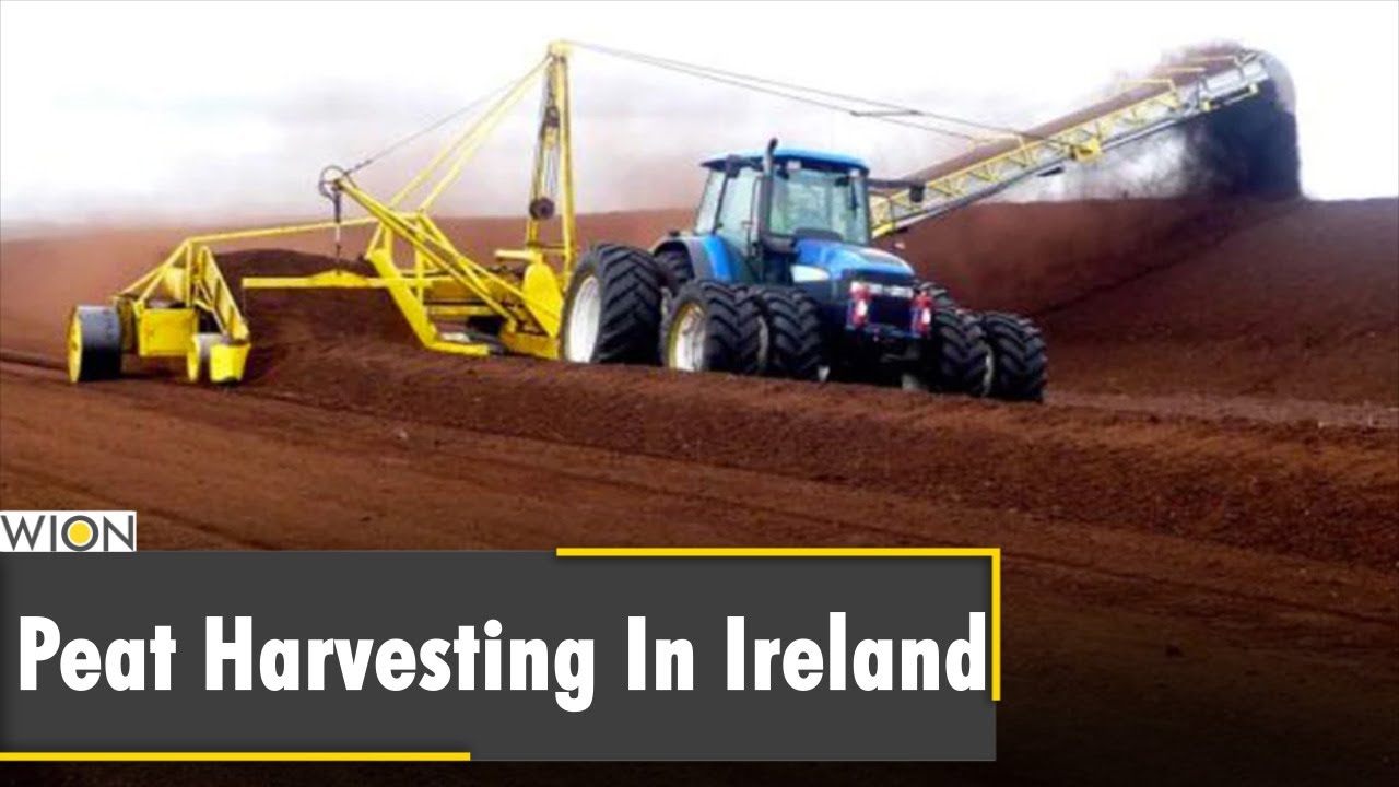 Why are Bogs important for harvesting in Ireland? | Latest World ...
