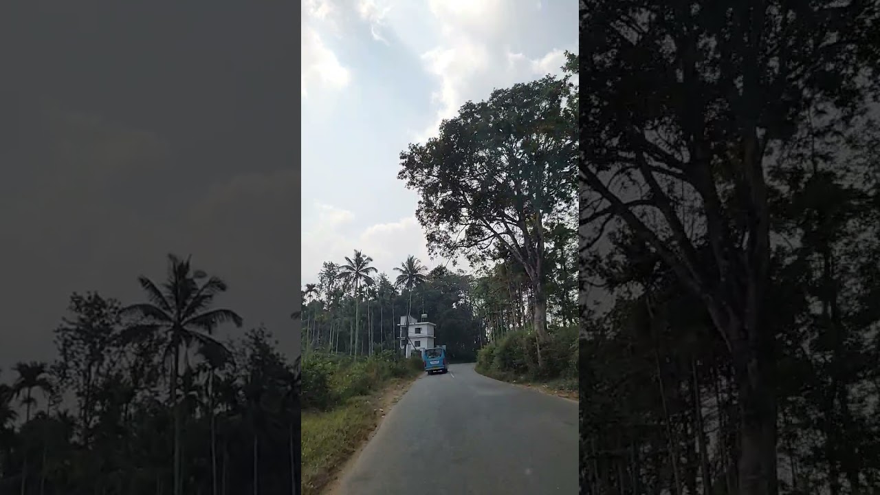 Wayanad is a wonder of snow and sunshine - YouTube