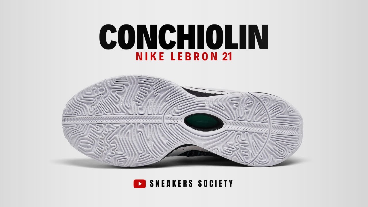 CONCHIOLIN 2023 Nike LeBron 21 DETAILED LOOK + PRICE - YouTube
