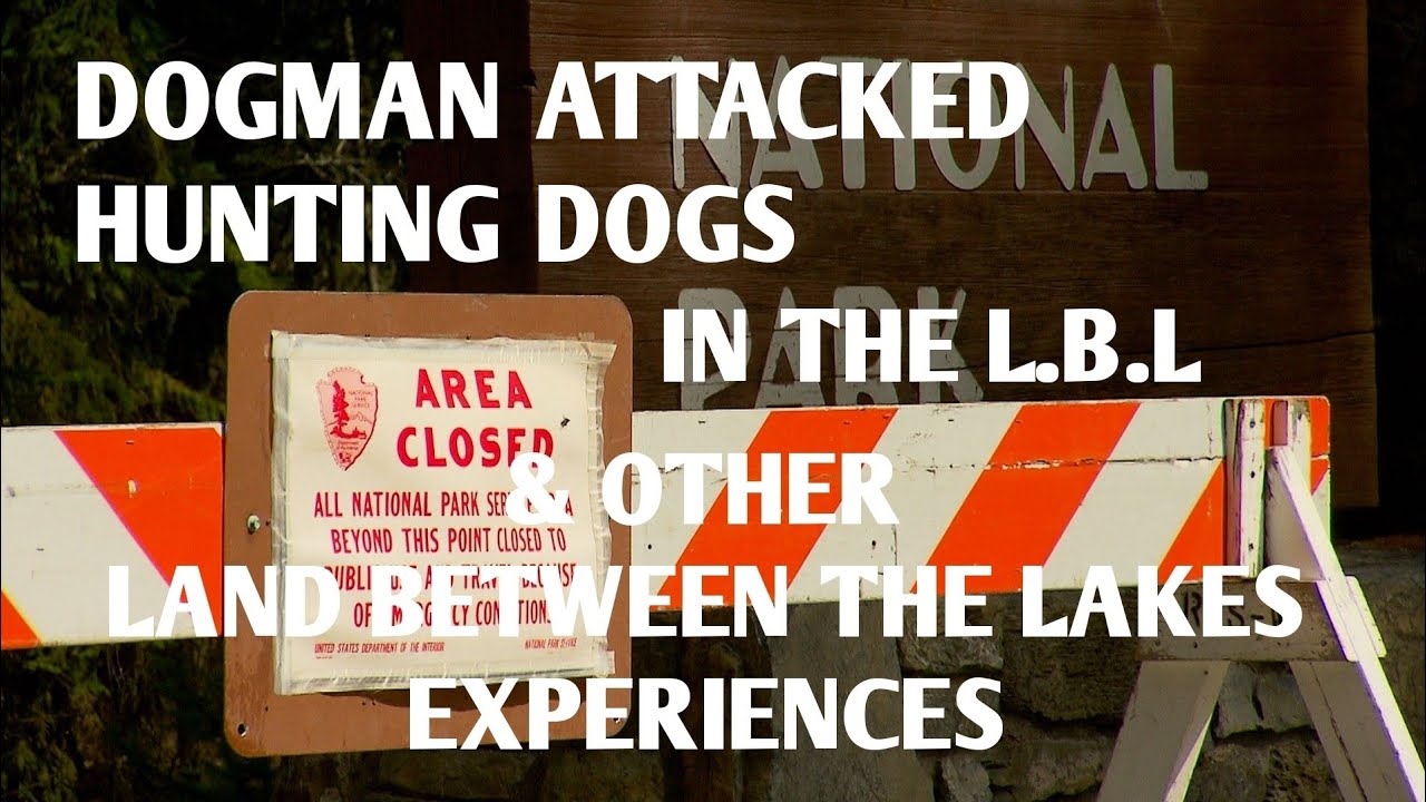 DOGMAN SAVAGELY ATTACKED HUNTING DOGS IN THE LBL & OTHER LAND BETWEEN ...