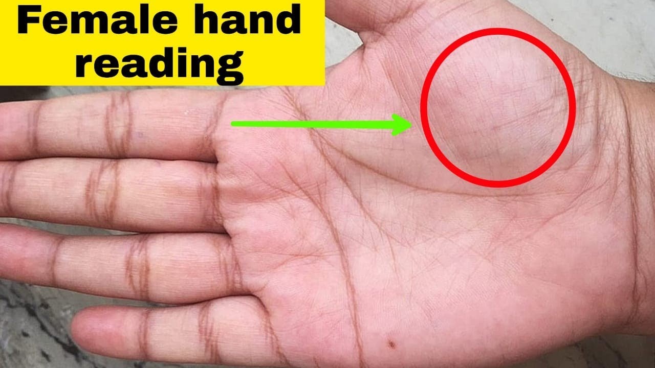 Female hand reading - YouTube