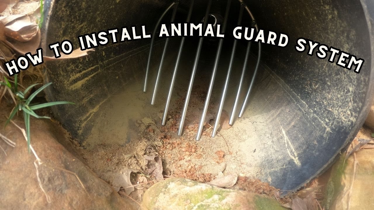 Installing animal guards in drainage pipes - YouTube