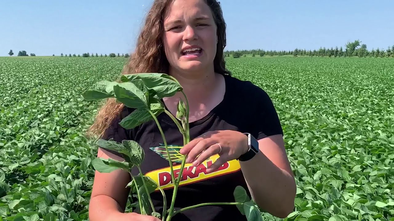 Clean Fields start here! - YouTube