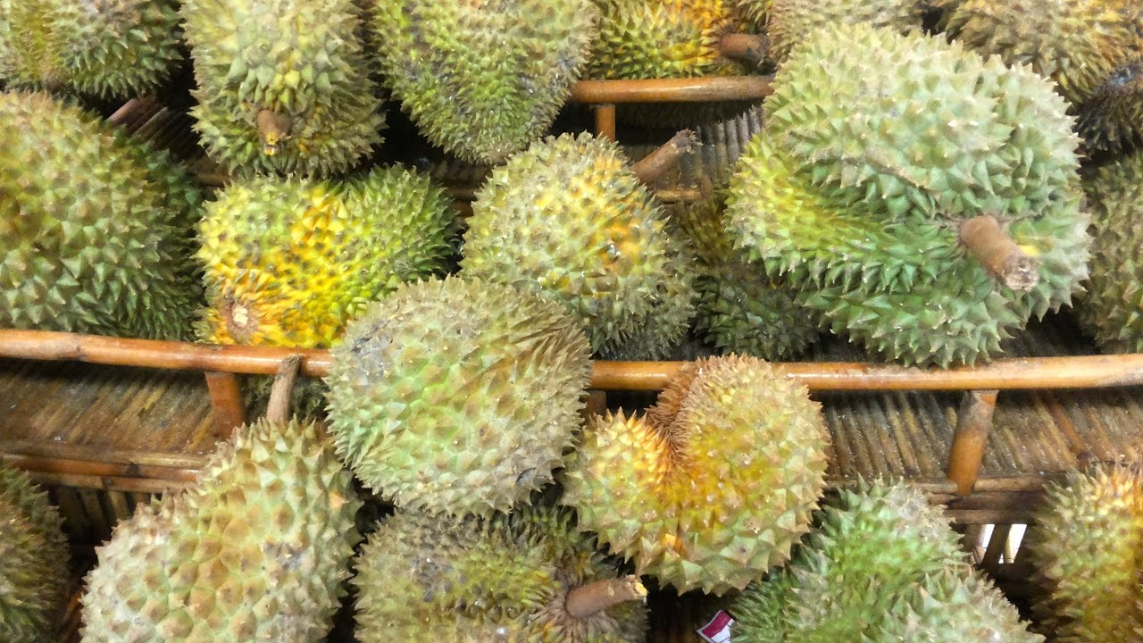 Amazing Fruits Ever Available In Cambodia - Various Fruits In Cambodia ...