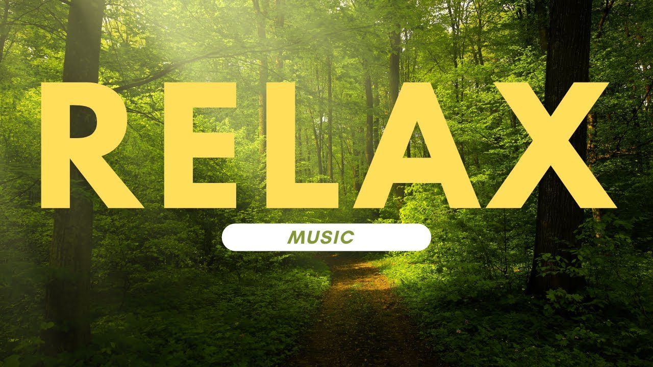 Grow plant 🌱🪴| Relaxing Nature view music | relax your mind | Good ...