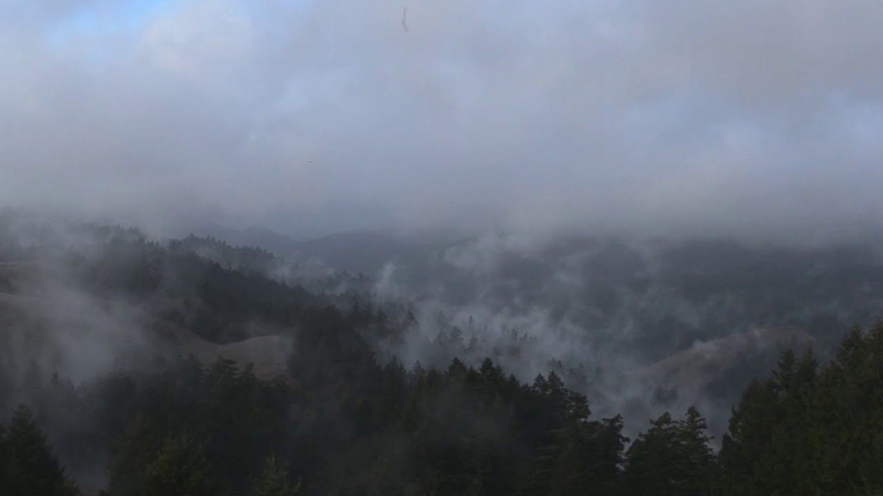 Day Wave - Potions (Lyric Video) - YouTube