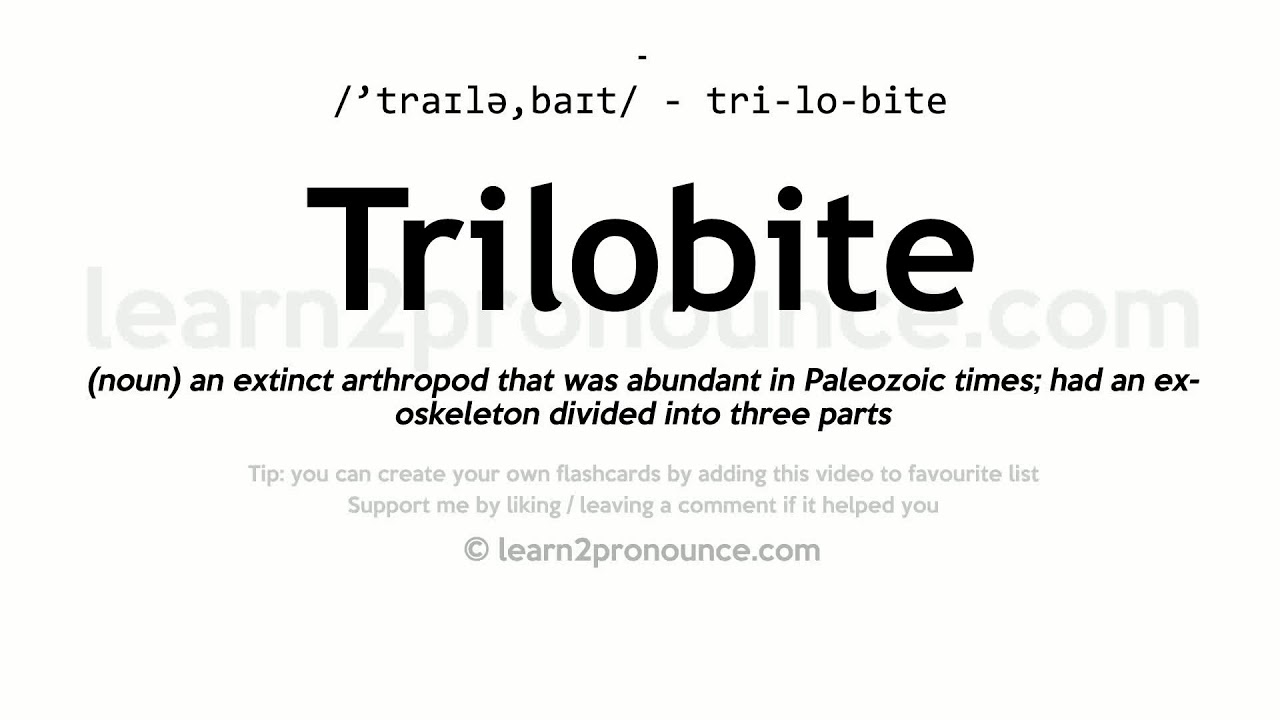 Trilobite pronunciation and definition - YouTube