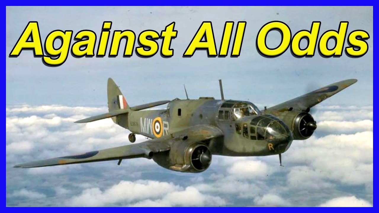 Against All Odds! How a Bomber Crew Were Rescued By a Pigeon. - YouTube