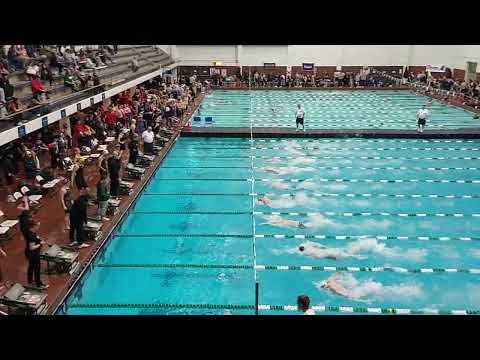 2024/11/23 Magnus Cup, 50 Fly Finals, Sam - YouTube