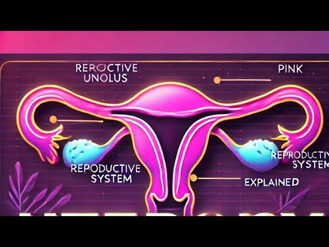 Uterus : Gross Anatomy - YouTube