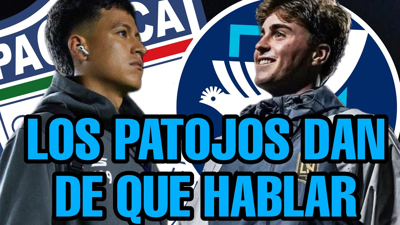 🤯MATT LE ENVÍA MENSAJE A TENA🇬🇹👌DANIEL CONVOCADO CON EL EQUIPO MAYOR ...