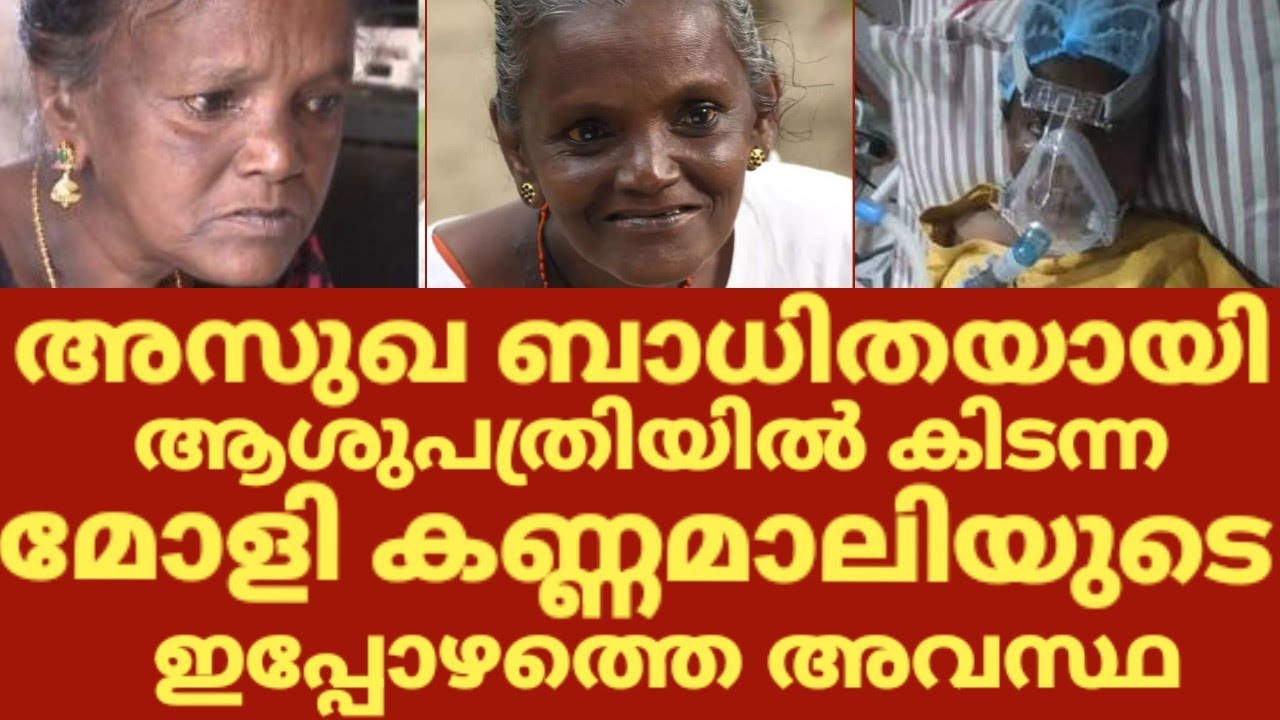 അസുഖം ബാധിച്ച മോളി കണ്ണമാലിയുടെ ഇപ്പോഴത്തെ അവസ്ഥ | Moly kannamali ...
