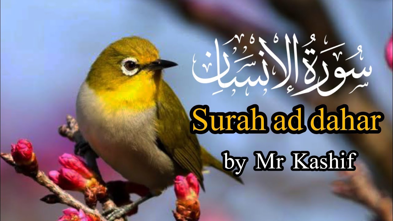 Surah al Dahar Tilawat | Surah Dahr |Quran Surah Dahr سورۃ الدھر ...