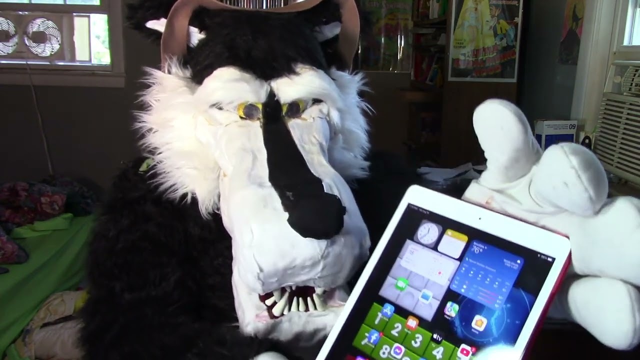 Zak Wolf's August 2022 Check-In Vlog - YouTube