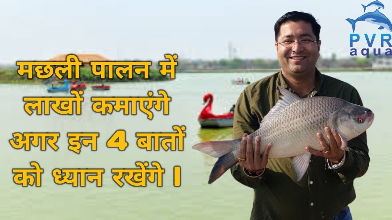 FCR में सुधार कैसे करें । Increasing Efficiency Of Feed Conversation ...