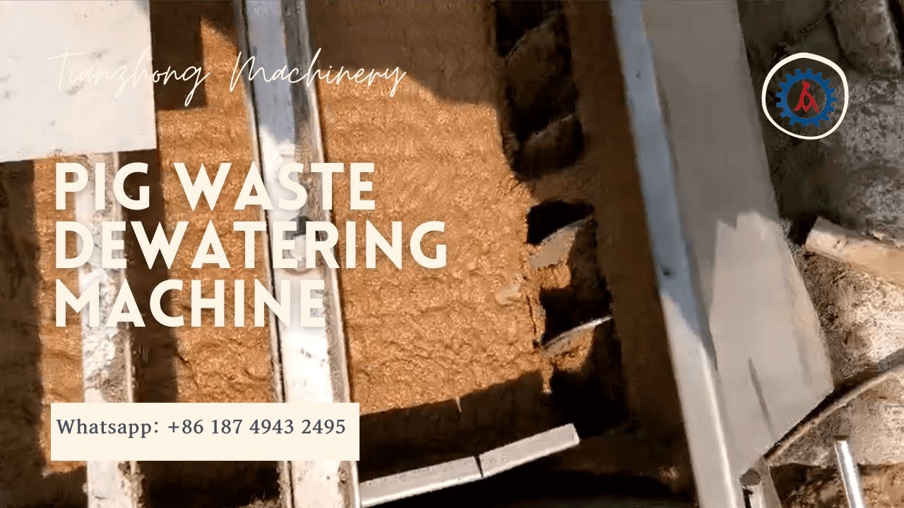 Pig Manure Dewatering Machine | Pig Manure Separator - YouTube