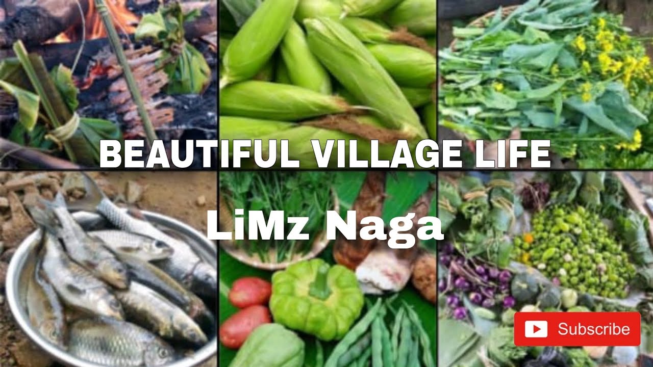 Beautiful village life || limznaga - YouTube