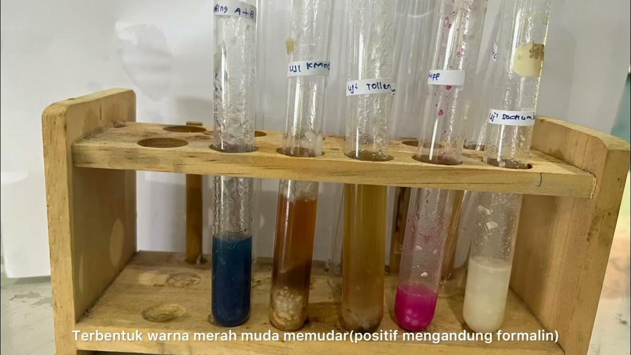 Pengujian Formalin pada Bakso - YouTube
