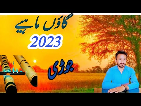 New punjabi ghon mahy 🎺 | 2023 | Best punjabi song jori mahy..... - YouTube