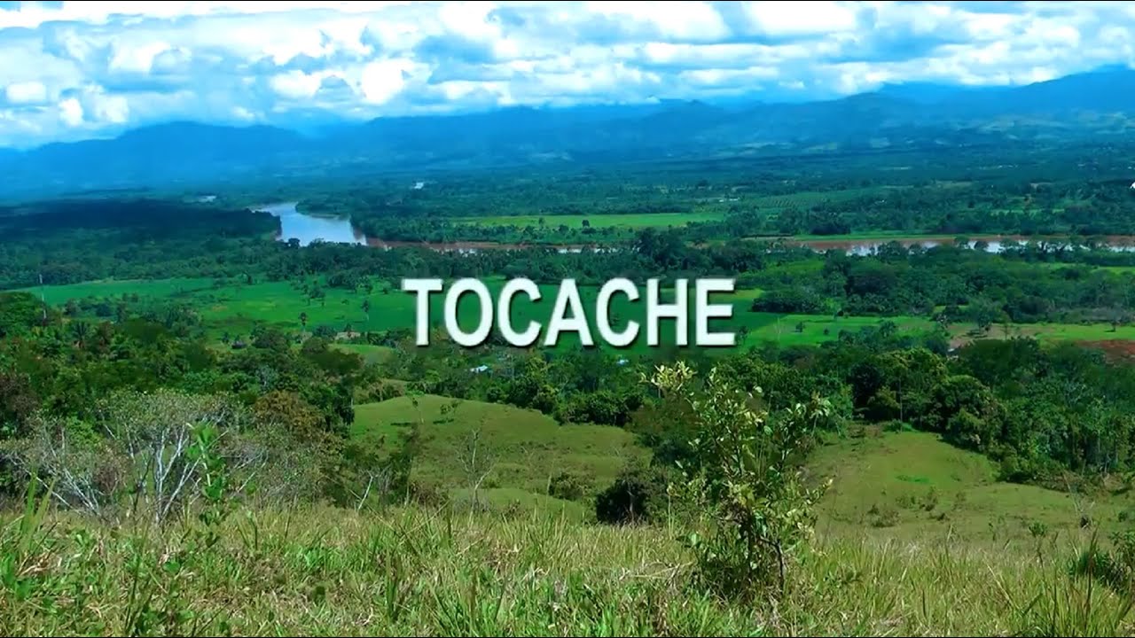 TOCACHE Y SUS 6 DISTRITOS: POLVORA, UCHIZA, STA. LUCÍA, SHUNTÉ Y NVO. PROGRESO - YouTube