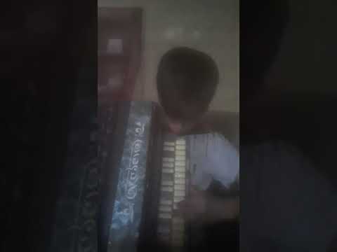 QARMONDA MARAL MAHNISI