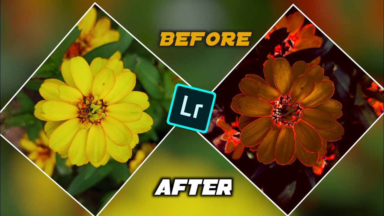 Special Flowers Editing | Red Tone | Lightroom Editing Tutorial - SGP ...