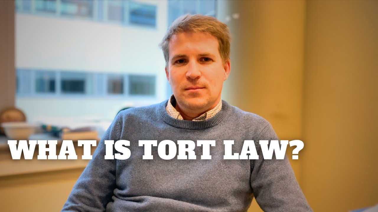 Understanding Tort Law in a Minute with Prof. Thomas Hoffmann. Key ...