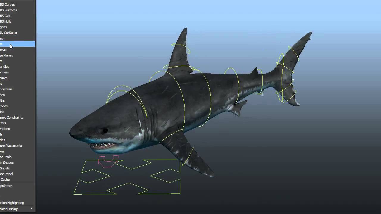 3D Shark Rig - Maya - YouTube
