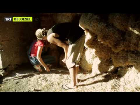 Bi Çiftlik | Çanakkale