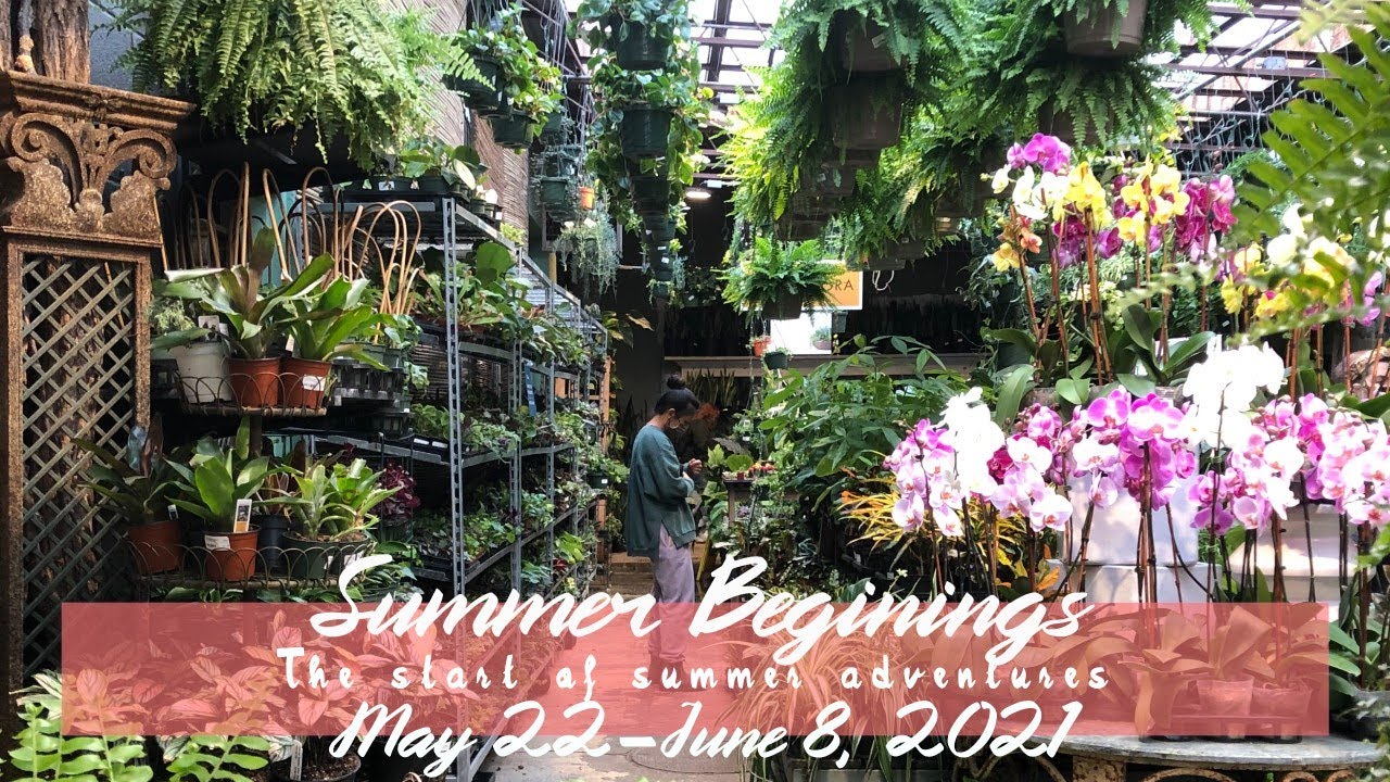 Summer Beginnings: Let the Summer Adventures Begin - YouTube