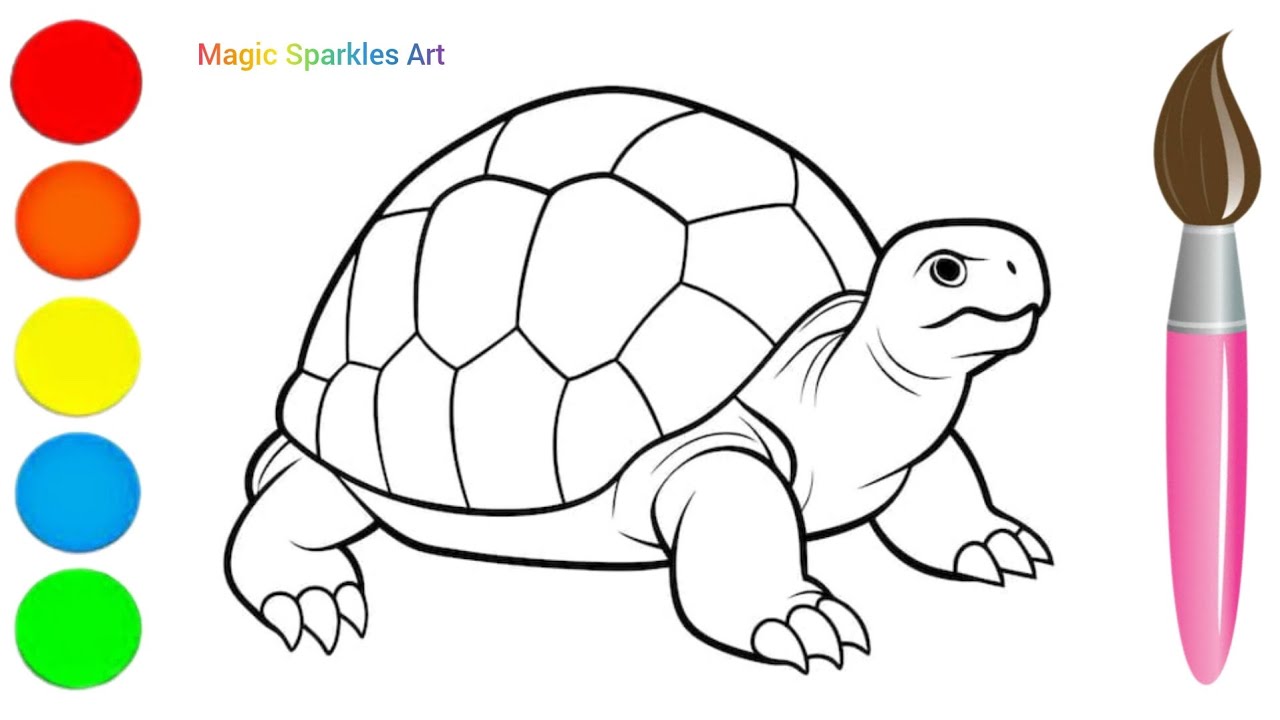 How to draw a Tortoise Step by Step | Easy drawings - YouTube