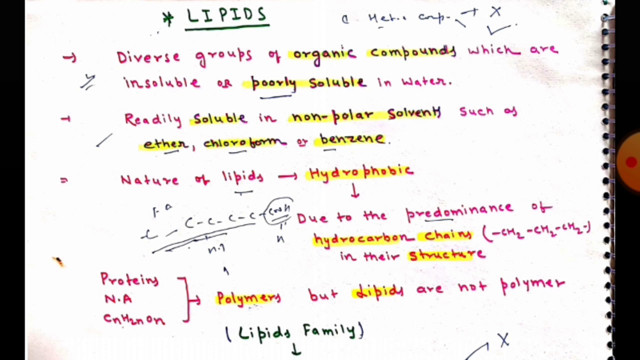 LIPIDS CHARACTERS AND FUNCTIONS HAND WRITTEN NOTES / LIPIDS COMPLETE ...
