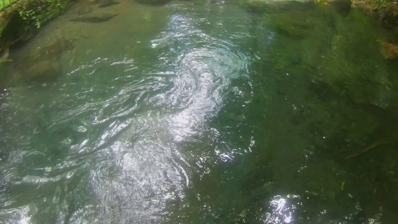 Lumbo Spring | Dolores Quezon - YouTube