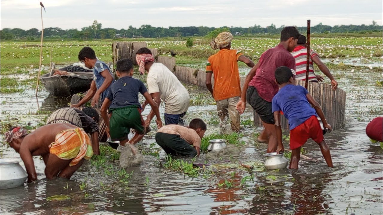 Unique Fish Trapping System | New methods of indigenous fishing ...