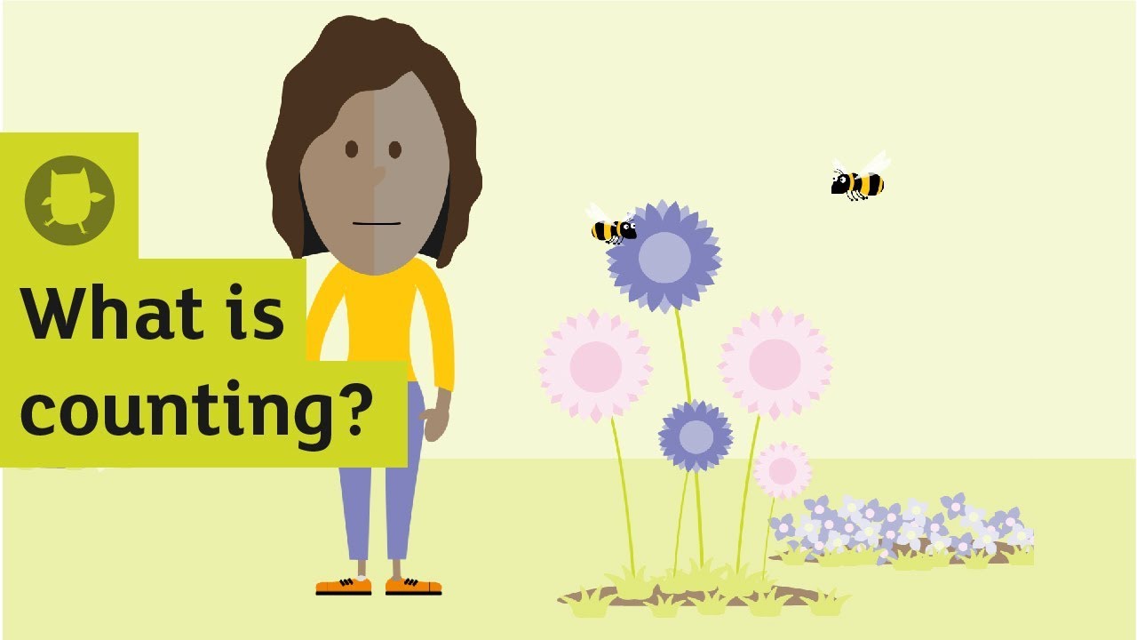 What is counting? | Oxford Owl - YouTube