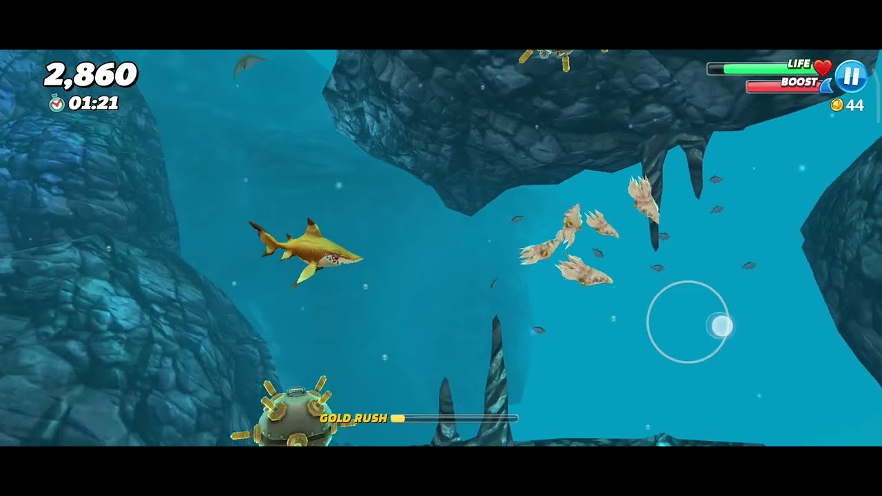 Hungry Shark Evolution New Shark - New Shark Skin By Fan Made - Hungry ...