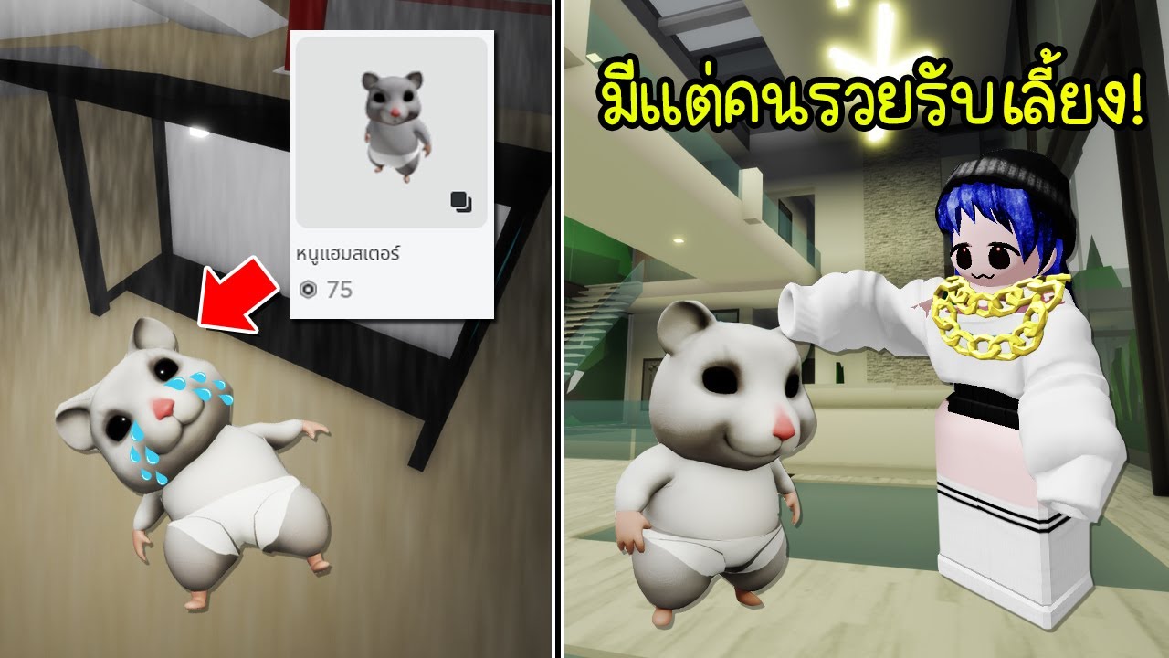 ใช้ตัวละครหนูแฮมเตอร์ มีแต่คนรวยเอาไปเลี้ยง! | Roblox 🏡 Avatar Hamster ...