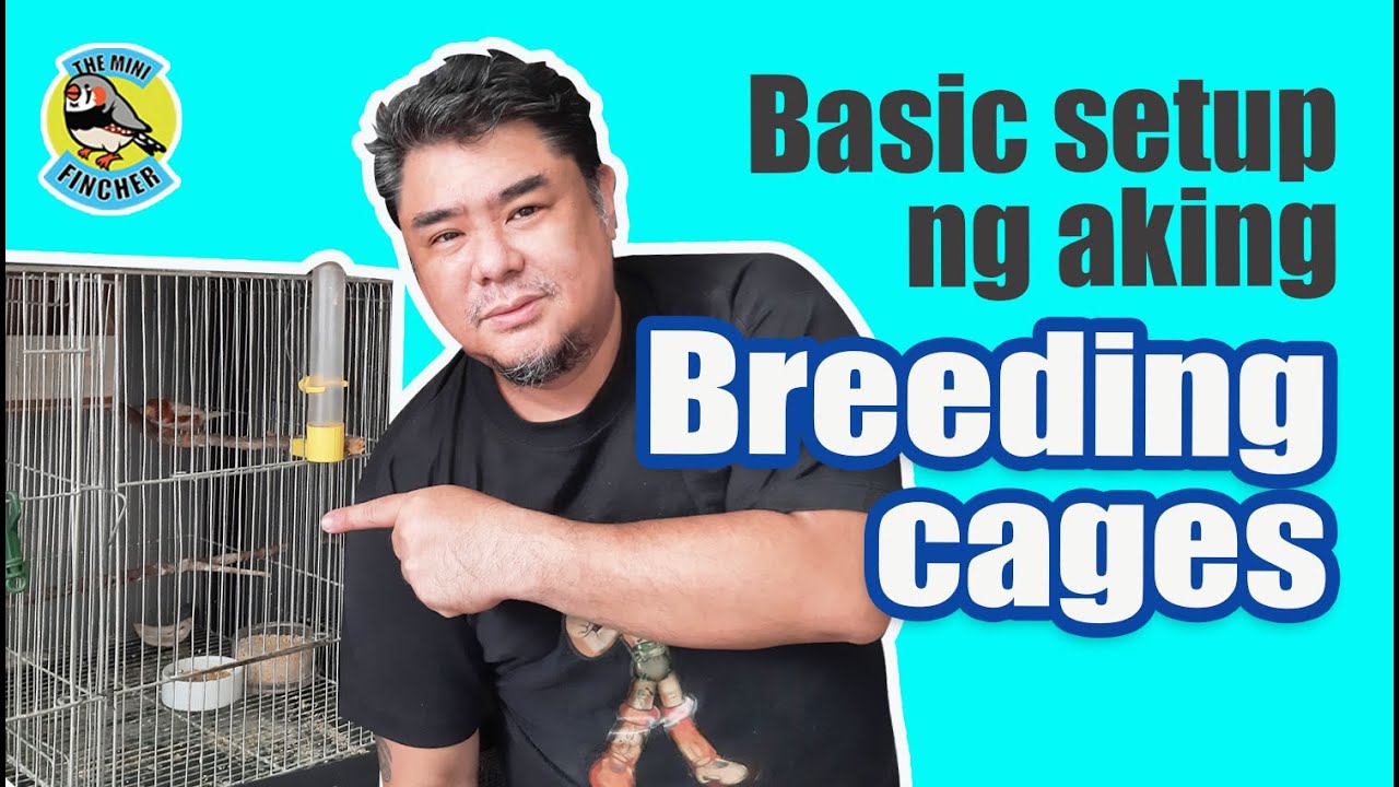 Ep.20: Basic breeding cage setup - YouTube